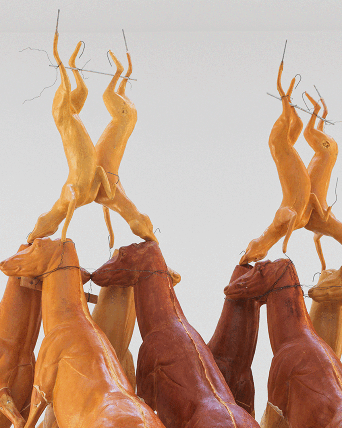 bruce nauman performance