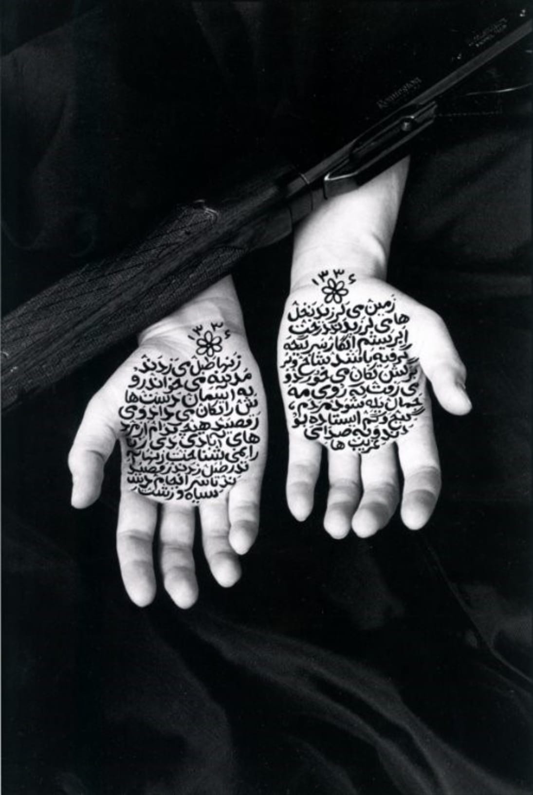 shirin neshat about