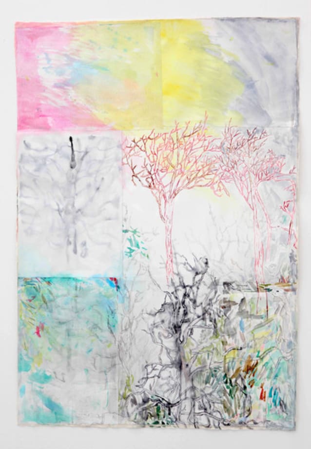 Ryoko Aoki | FOREST