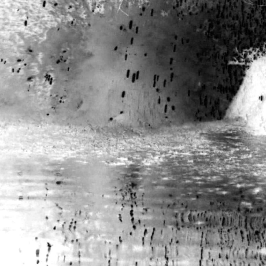 James Richards | Raking Light, 2014