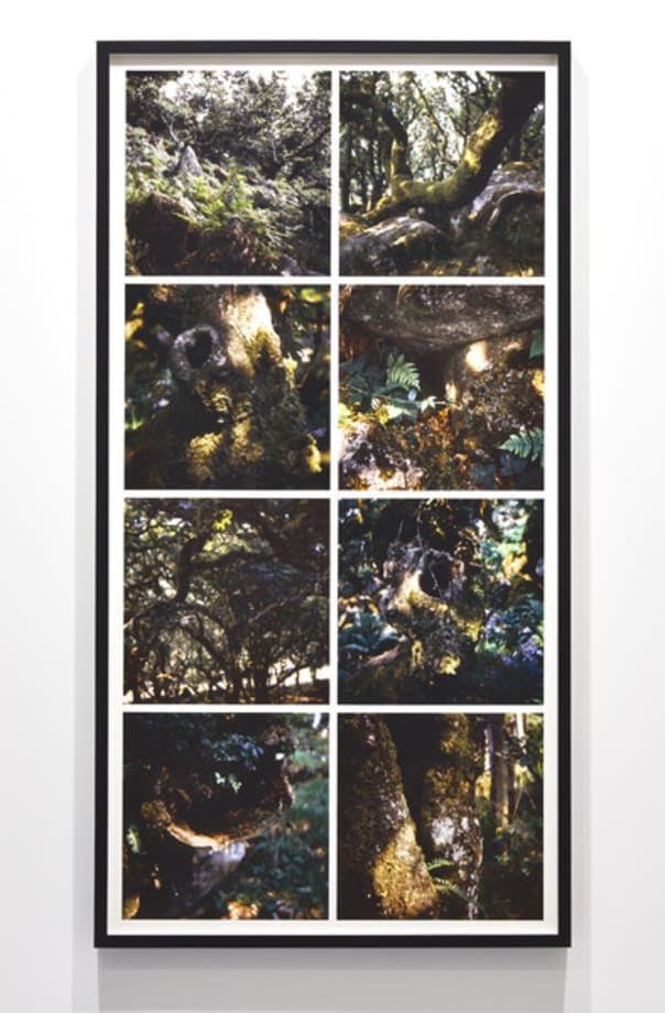 Nancy Holt | Wistman’s Wood, 2012