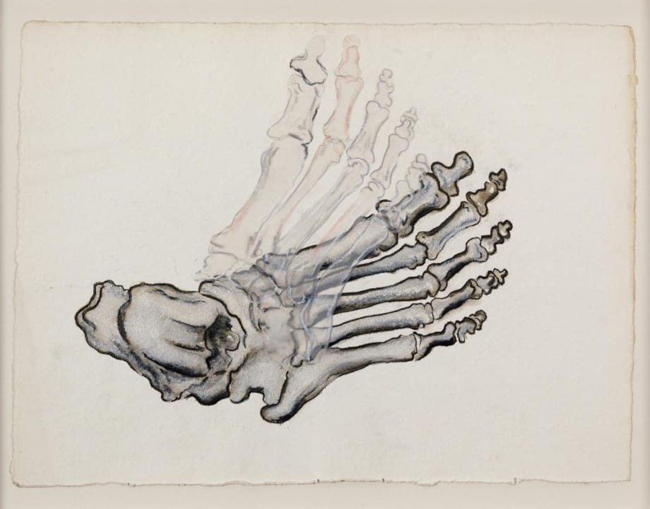 Mithu Sen | Untitled, 2013