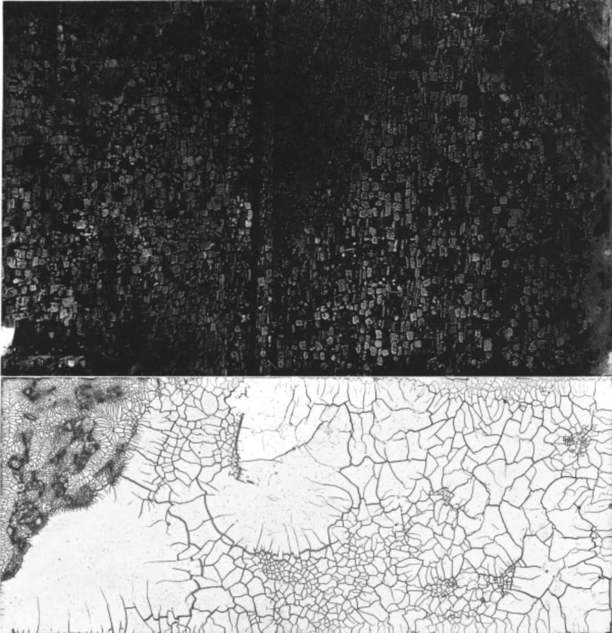 Leonardo Drew | CPP6, 2015