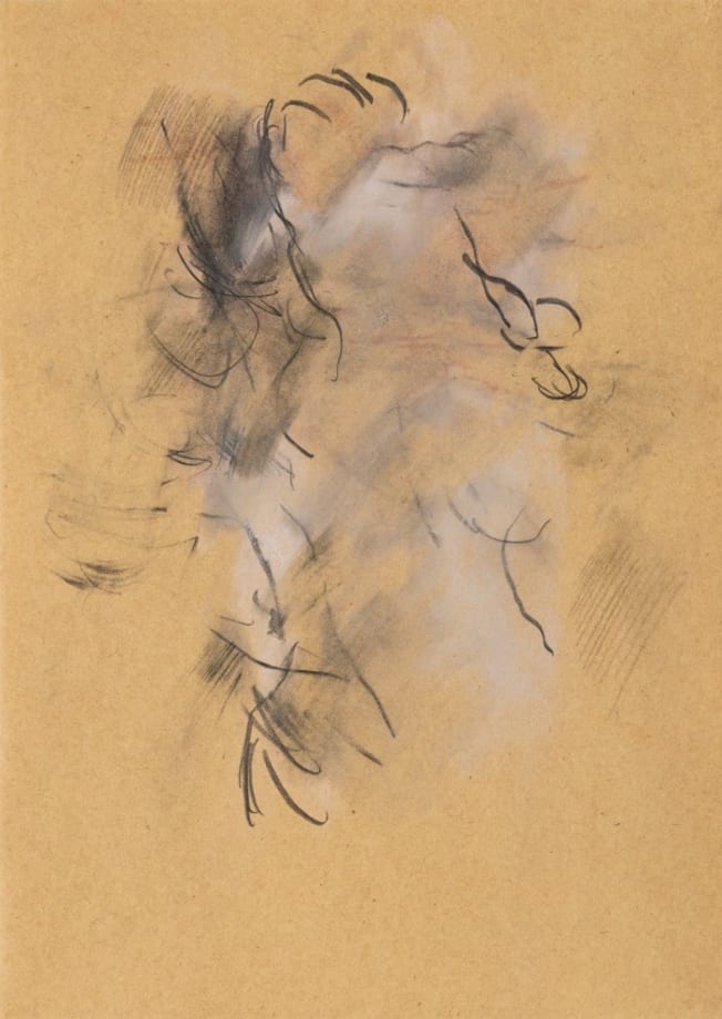 David Schutter | ICG 4, 2016