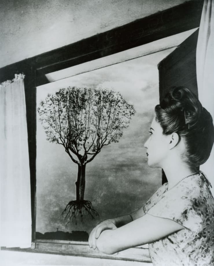 Grete Stern | Sueño Nº 43, Sin Título, 1948