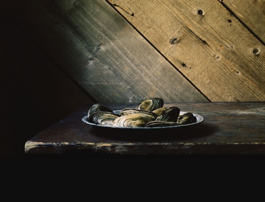 Sharon Lockhart | Untitled, 2010