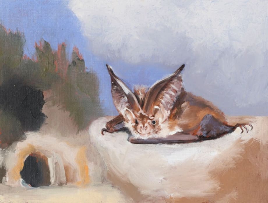 Marvin Gaye Chetwynd | Bat Opera, 2013