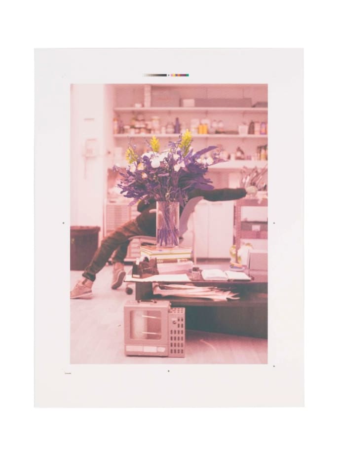 Ryan Gander | Portrait of a blind artist obscured by flowers, 2014