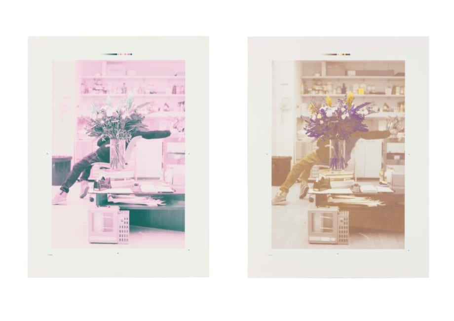 Ryan Gander | Portrait of a blind artist obscured by flowers, 2014