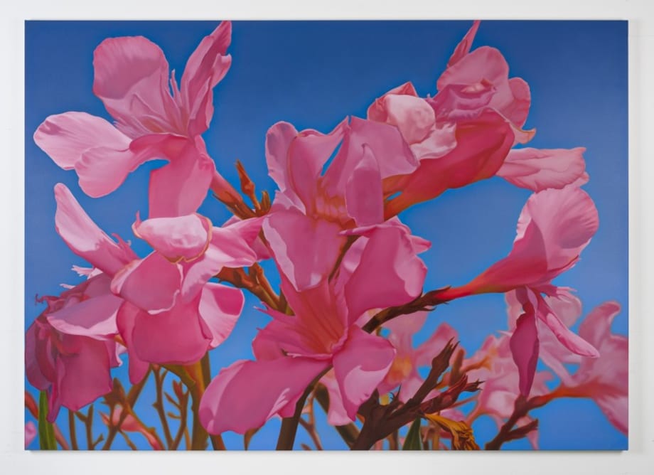 Mustafa Hulusi | Oleander 1, 2016