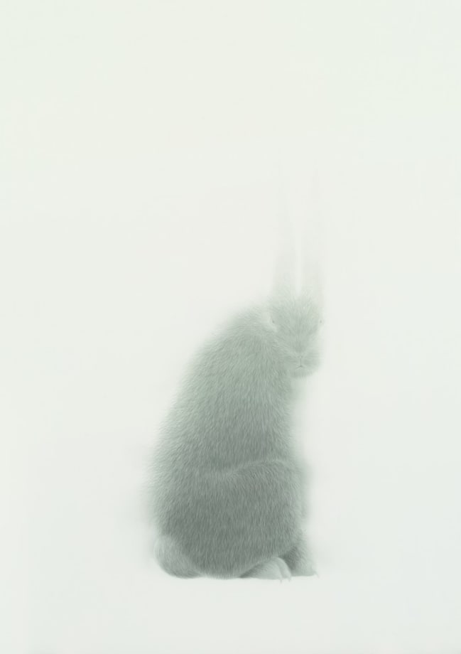 Shao Fan | Backward-looking Rabbit, 2016