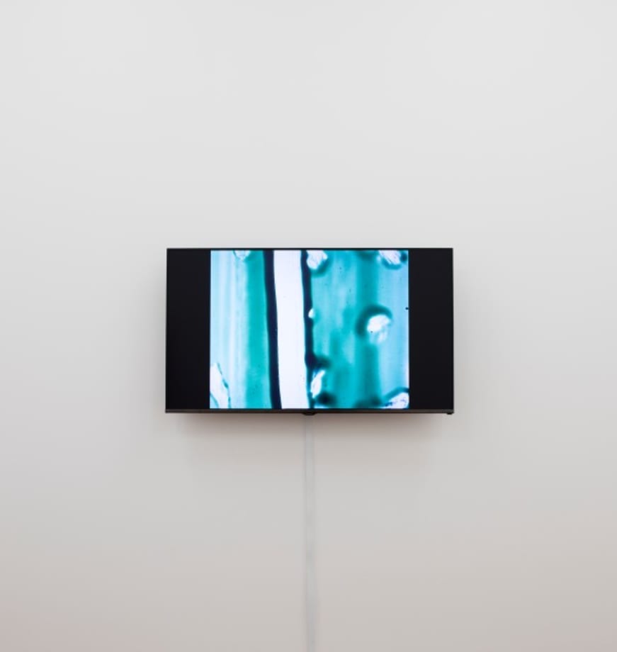 Len Lye | A Colour Box, 1901