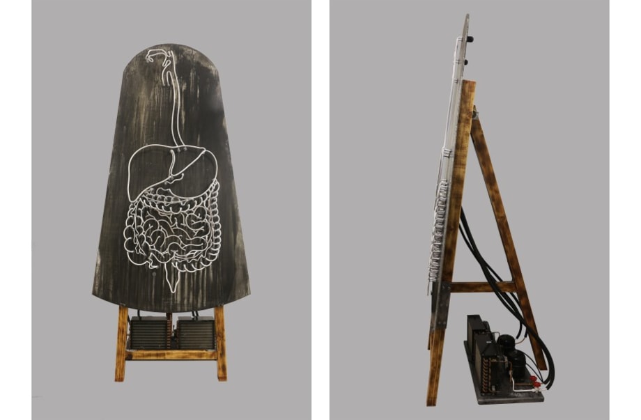 Lu Lei | Man Ray's Violin, 2017