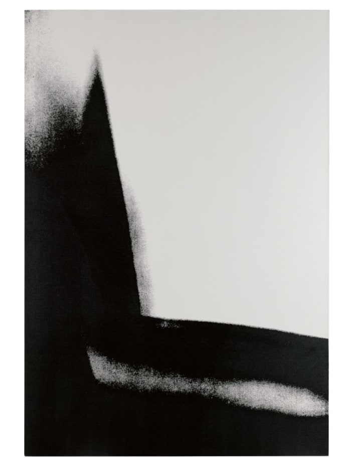 Andy Warhol | Shadow, 1978
