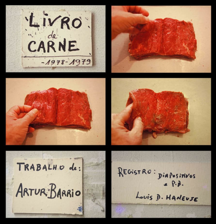 Artur Barrio | Livro de Carne [Book of Meat], 1979