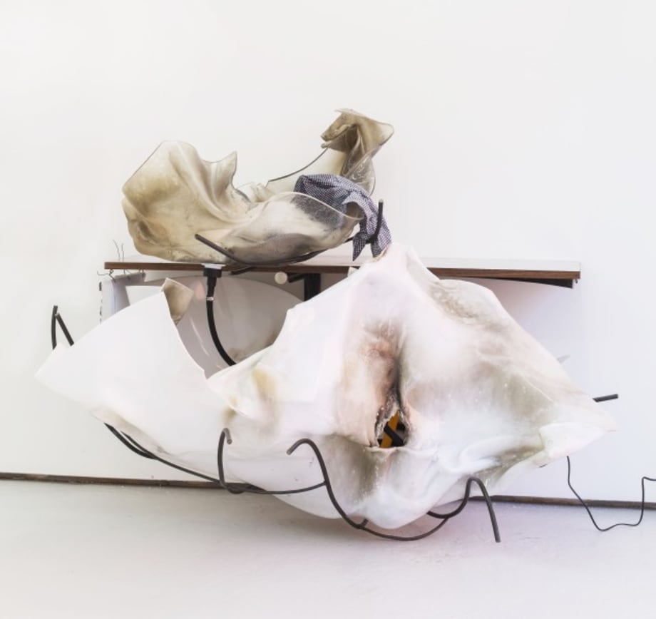 David Douard | S‘, 2015