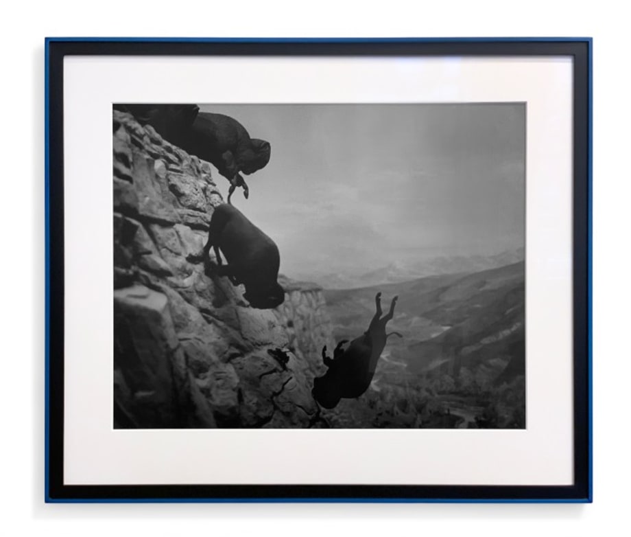 David Wojnarowicz | Untitled (Buffalo), 1988