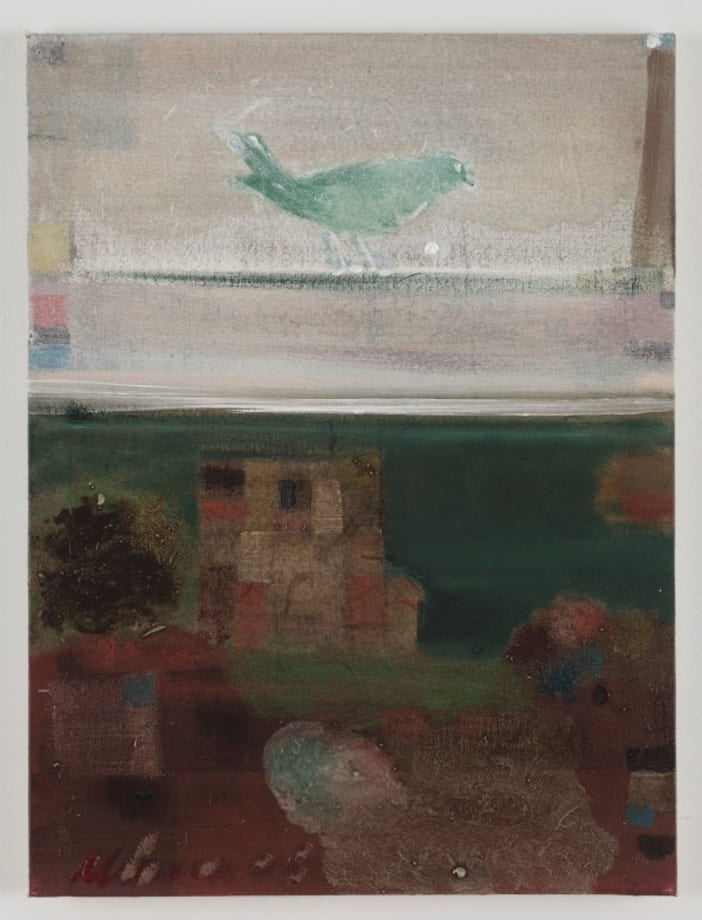 Merlin James | Green Bird, 2008