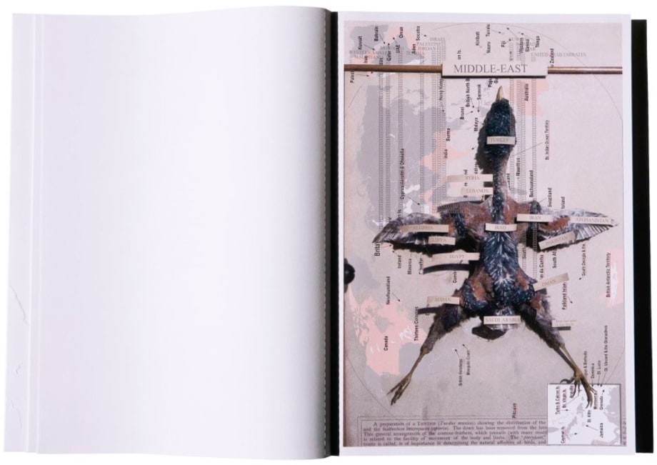 Fahrettin Orenli | Conspiracy Wall > ANARTIST, Artist Book, 2004