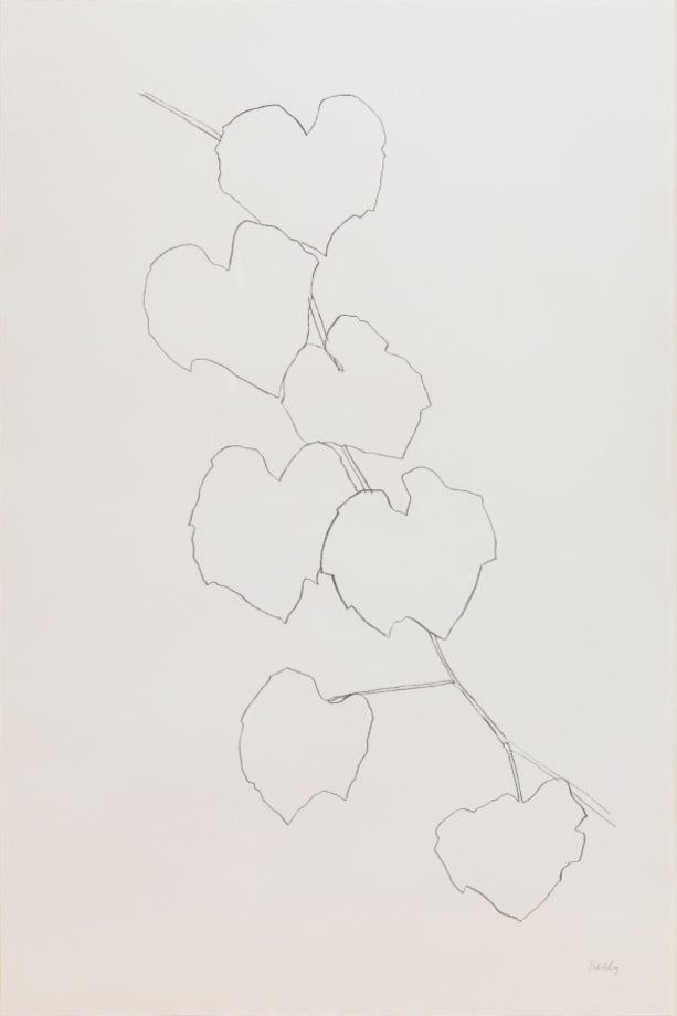 Ellsworth Kelly | Grape Leaves II, 1973 Ellsworth Kelly | Grape Leaves II, 1973