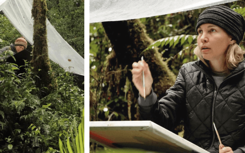Saving nature, one artwork at a time | Art Basel