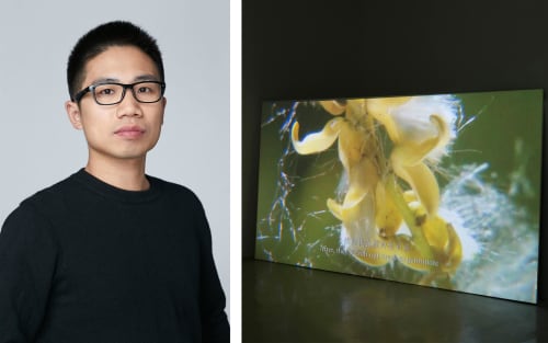 Meet the artist-explorer Liu Chuang | Art Basel