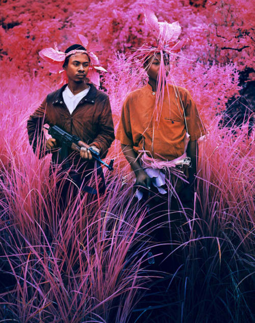 Richard Mosse | Hot Rats, 2012 | Art Basel