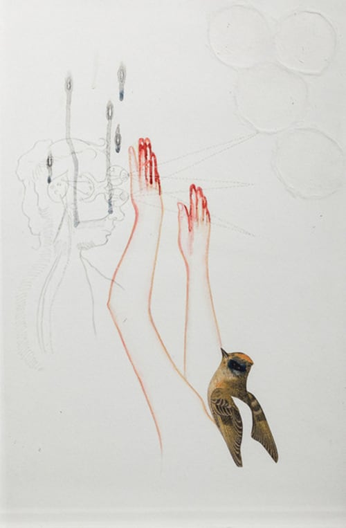 Mithu Sen | Falling upwards, 2015