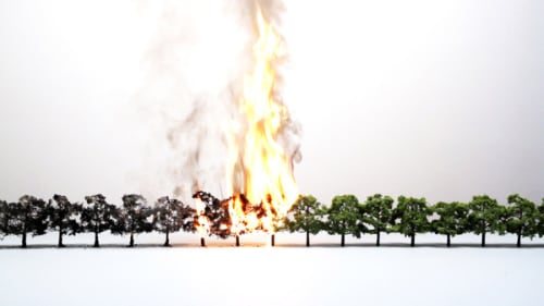 John Wood Paul Harrison | Tree line, 2014 | Art Basel