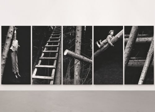 Anna & Bernhard Blume | Art Basel