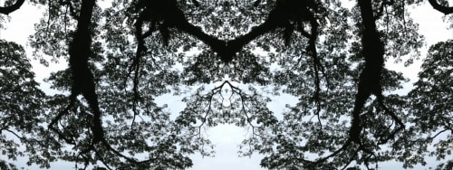 Boo Junfeng | Mirror, 2013 | Art Basel