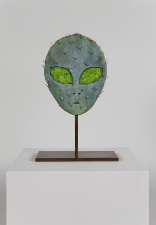 Matt Johnson | Alien Cactus, 2015 | Art Basel