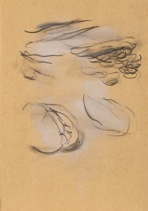 David Schutter | ICG 8, 2016 | Art Basel