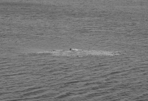 Ishu Han | A Person as the territory_01, 2017 | Art Basel