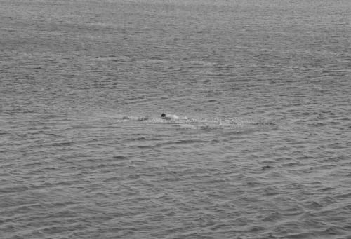 Ishu Han | A Person as the territory_02, 2017 | Art Basel