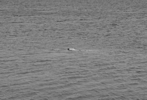 Ishu Han | A Person as the territory_03, 2017 | Art Basel