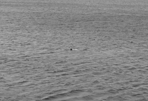 Ishu Han | A Person as the territory_04, 2017 | Art Basel