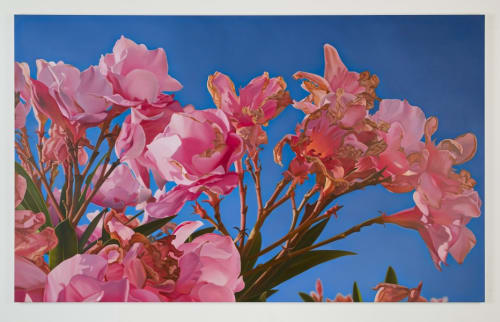 Mustafa Hulusi | Oleander 2, 2016 | Art Basel