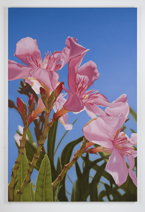 Mustafa Hulusi | Art Basel