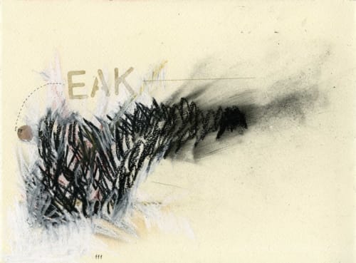 Samson Young | Catalogue d'Oiseaux (Common Grackle), 2016 | Art Basel