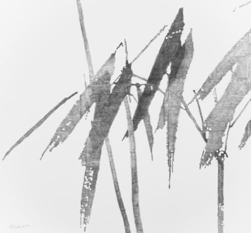 Shan Fan | Art Basel