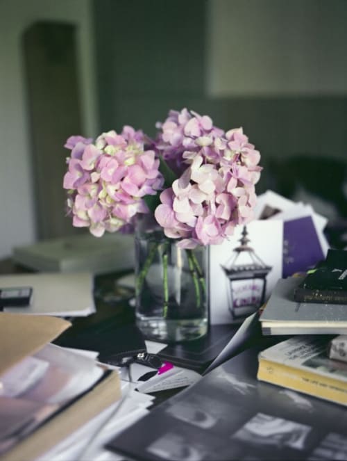 Becky Beasley | St Leonards (2012) (Summer of Love) (Hydrangea No. 6 of ...