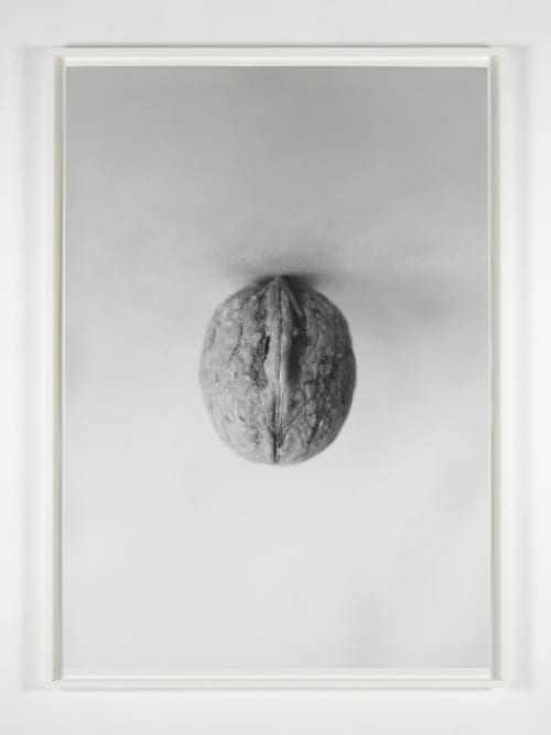 Becky Beasley | Fall I, 2014 | Art Basel