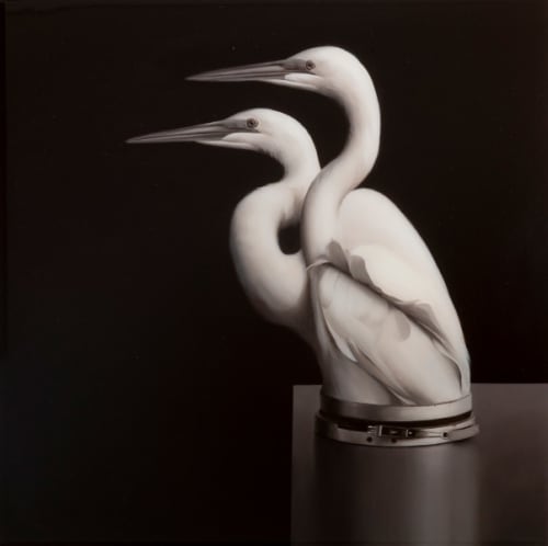 Sam Leach | Egrets with Pressure Seal, 2018 | Art Basel