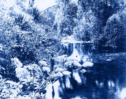 Danie Mellor | Ghost Queen of the river, 2017