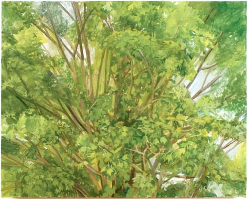 Sylvia Plimack Mangold | Maple Tree Detail 2008, 2008 | Art Basel