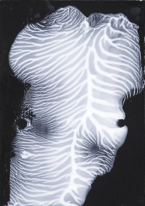Thomas Hartmann | Zebra, 2009 | Art Basel