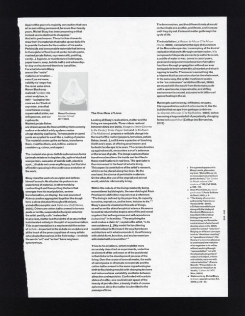 Saâdane Afif | The Fountain Archives - FA 0697 B, 2008