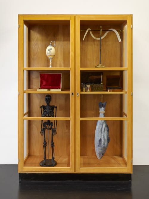 Mark Dion | Art Basel