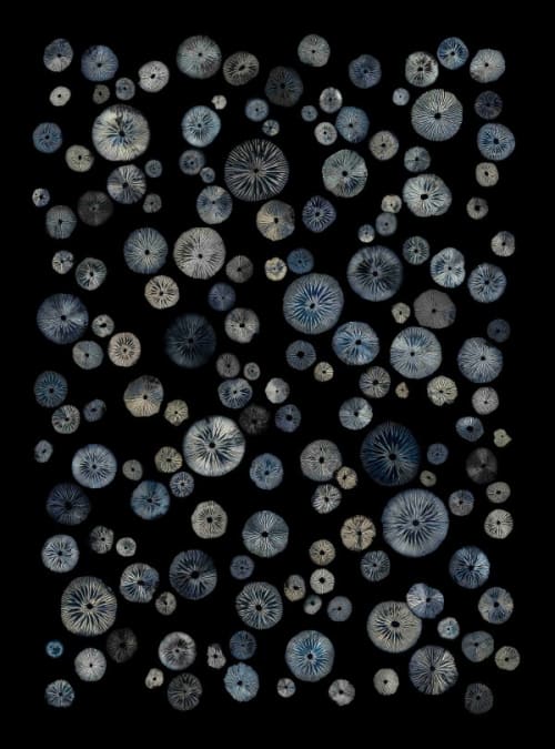 Adam Fuss | Untitled, 2014 | Art Basel